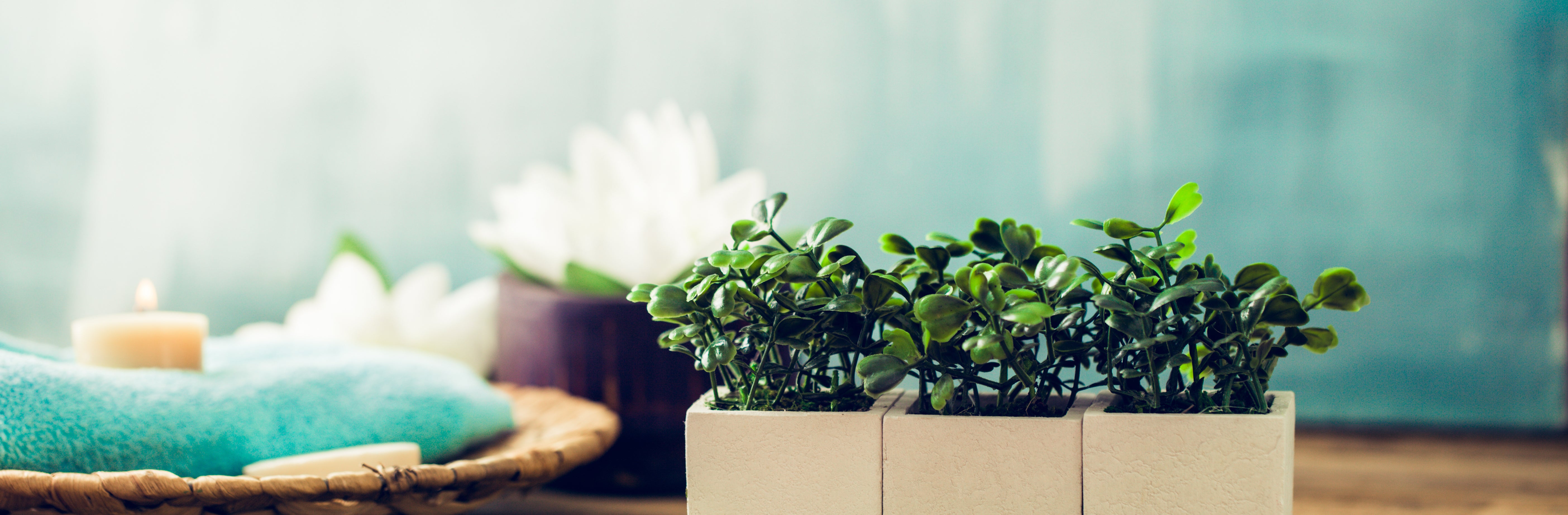 Wellbeing & Home – EMP Industrial
