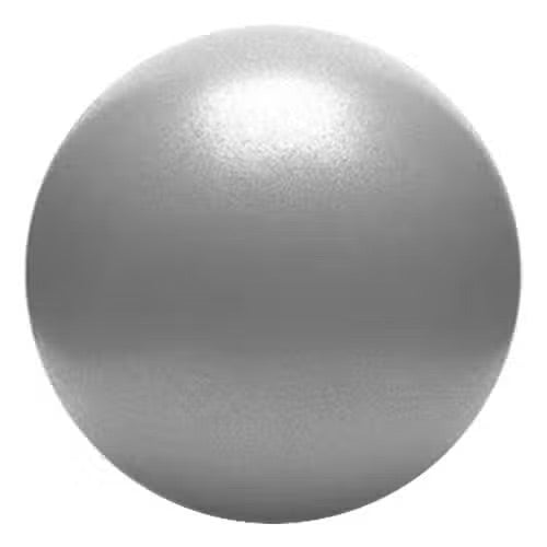 Deluxe Pilates Ball | Poz A Ball – EMP Industrial